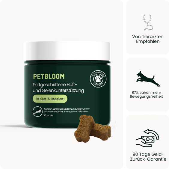 Gelenk Snacks – PetBloom